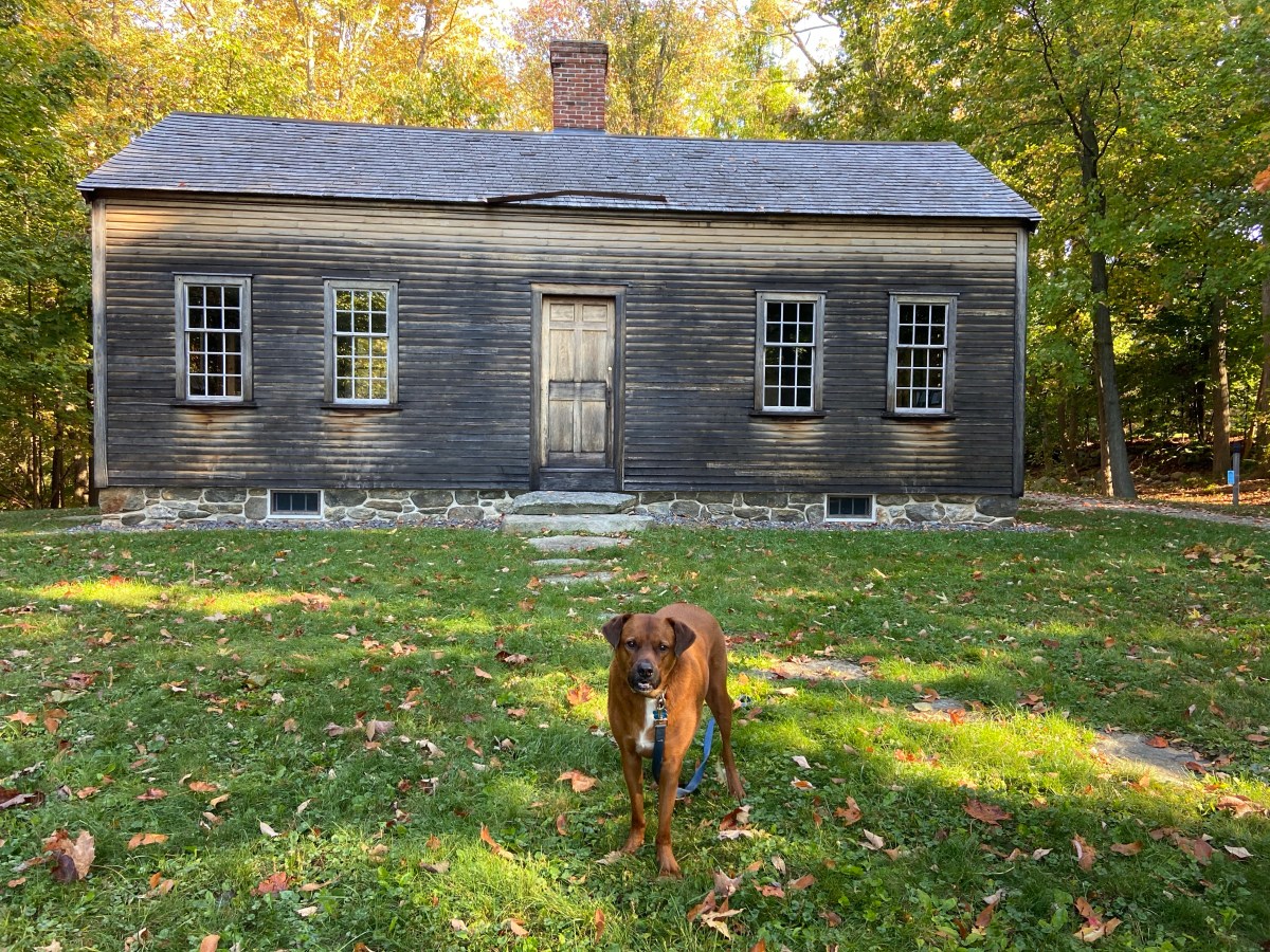 Robbins House – Walkies Through History