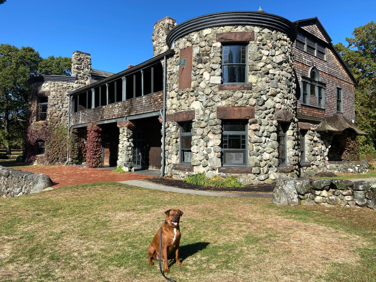 Stonehurst, the Robert Treat Paine Estate – Walkies Through History