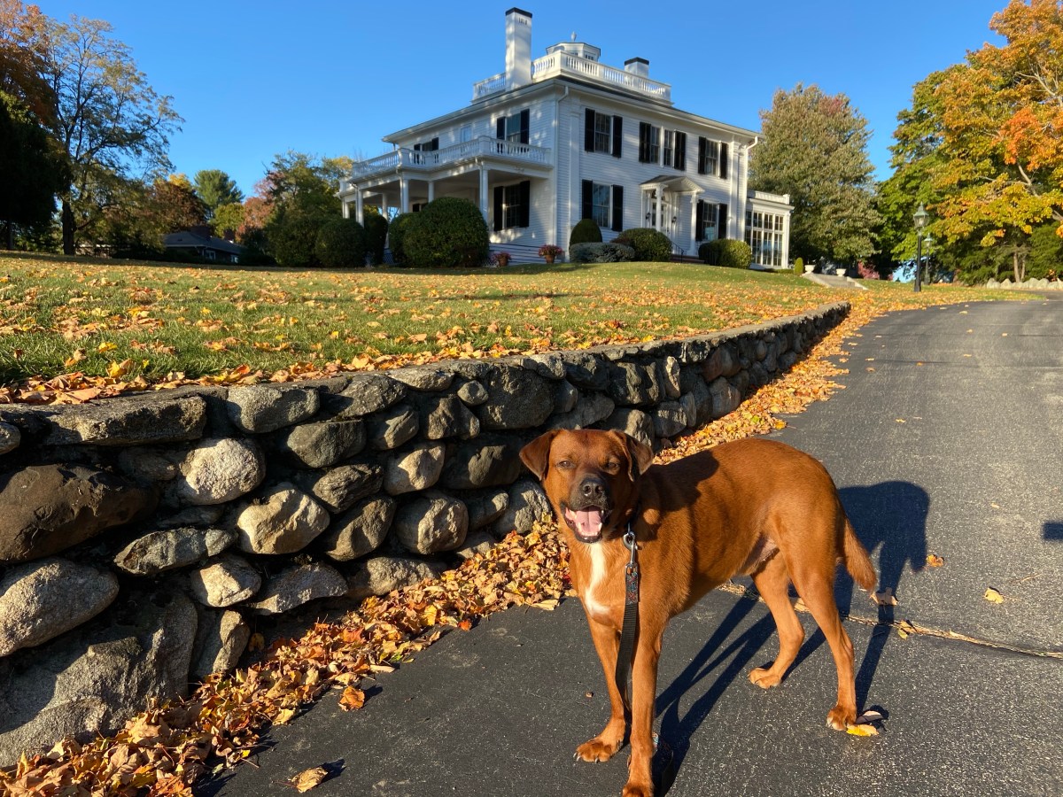 Beebe Homestead – Walkies Through History