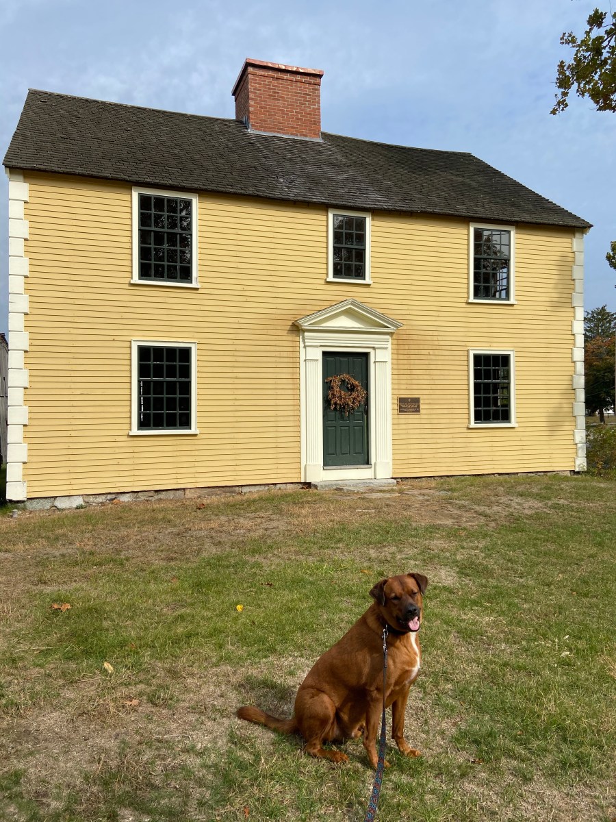 Francis Wyman House – Walkies Through History