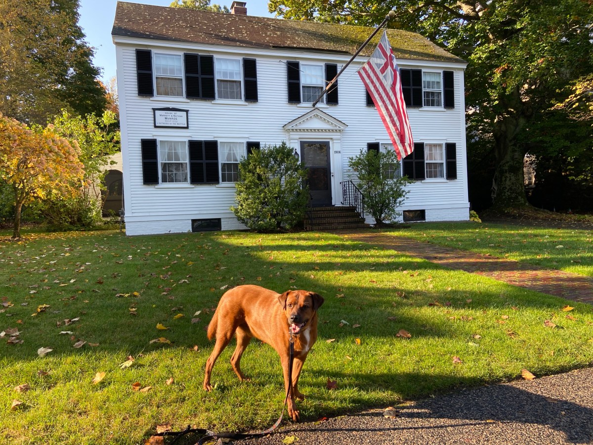 Munroe House – Walkies Through History