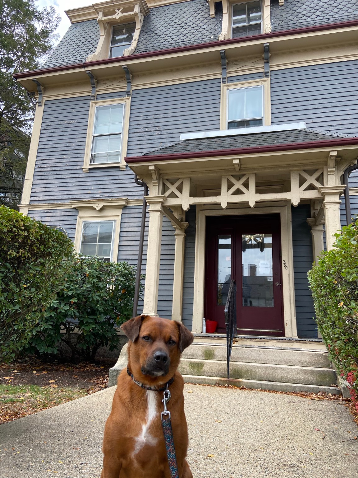 William Proctor House – Walkies Through History