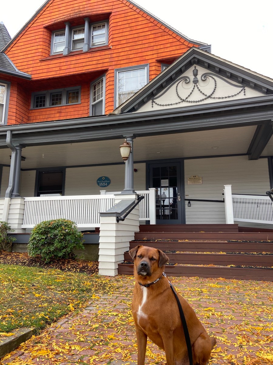 Henry Swan House – Walkies Through History