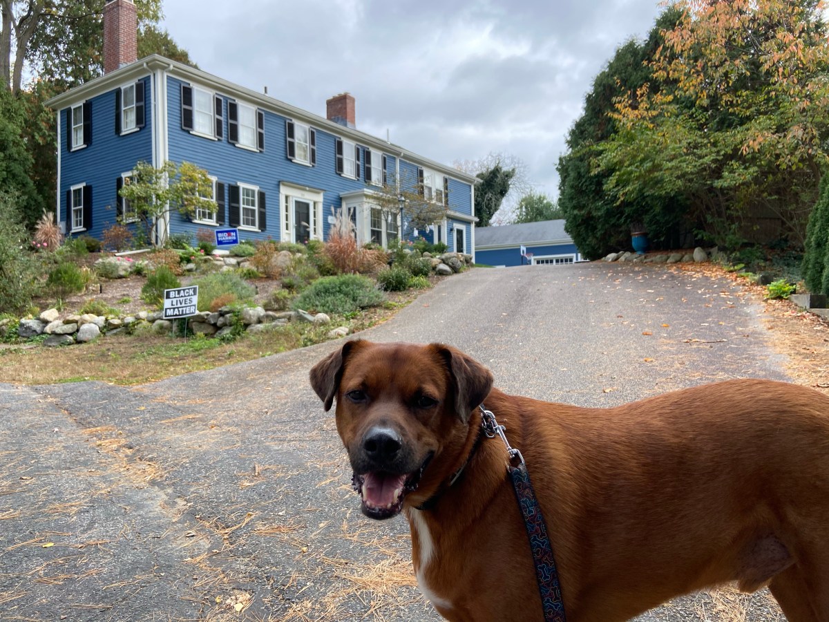 Ebenezer McIntosh House – Walkies Through History