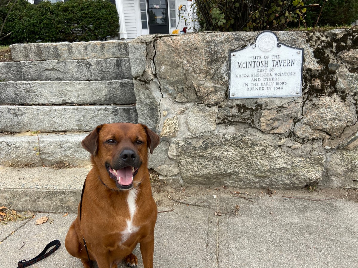 McIntosh Tavern/Ezra Fuller House – Walkies Through History