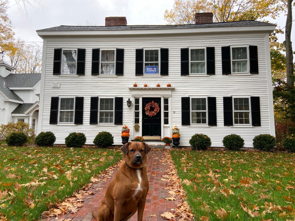 George Dutton House – Walkies Through History