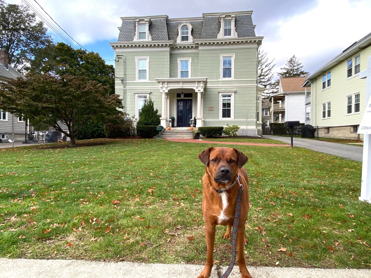 Darius Emerson/Felice Olivieri House – Walkies Through History