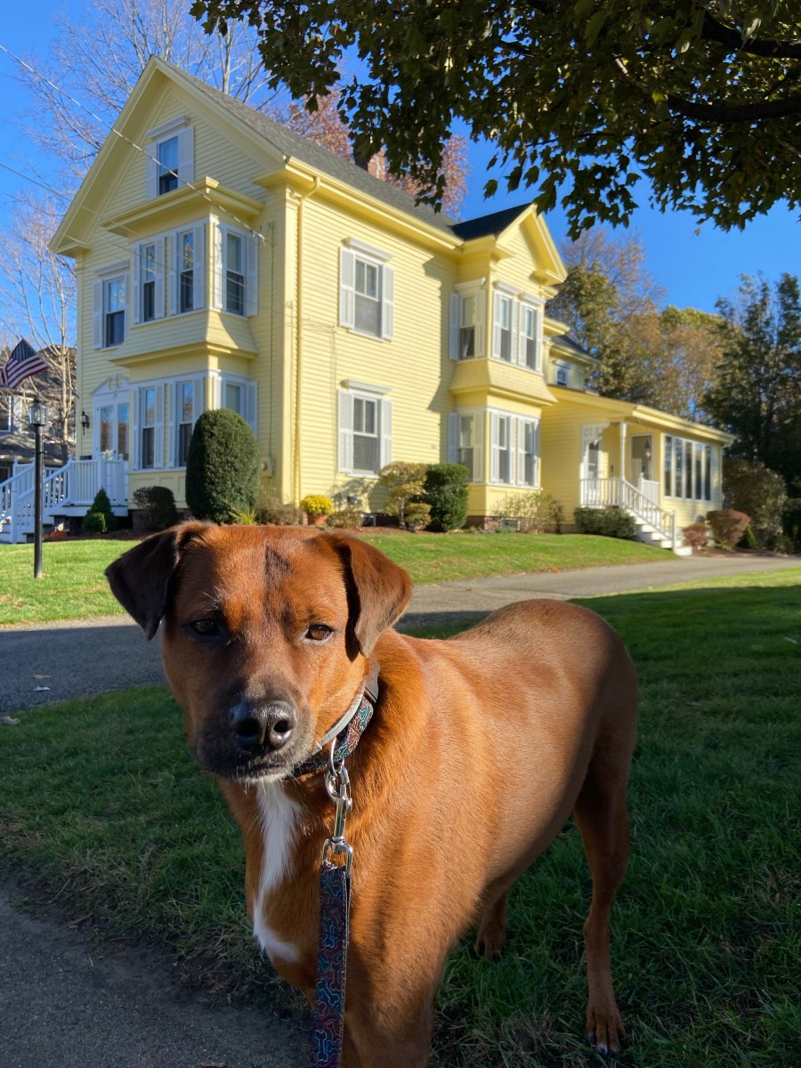 Mary Fletcher House – Walkies Through History