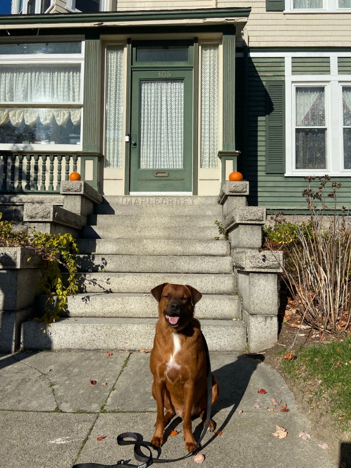 Now For Sale: Lizzie Borden’s Maplecroft Mansion – Walkies Through History