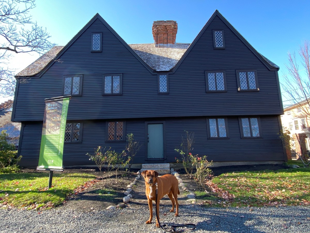 John Ward House – Walkies Through History