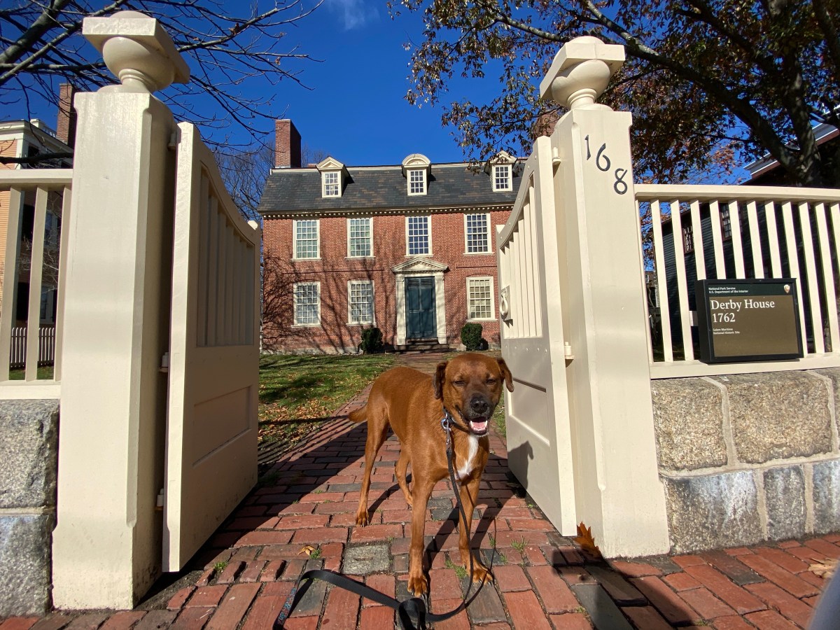 Derby House – Walkies Through History