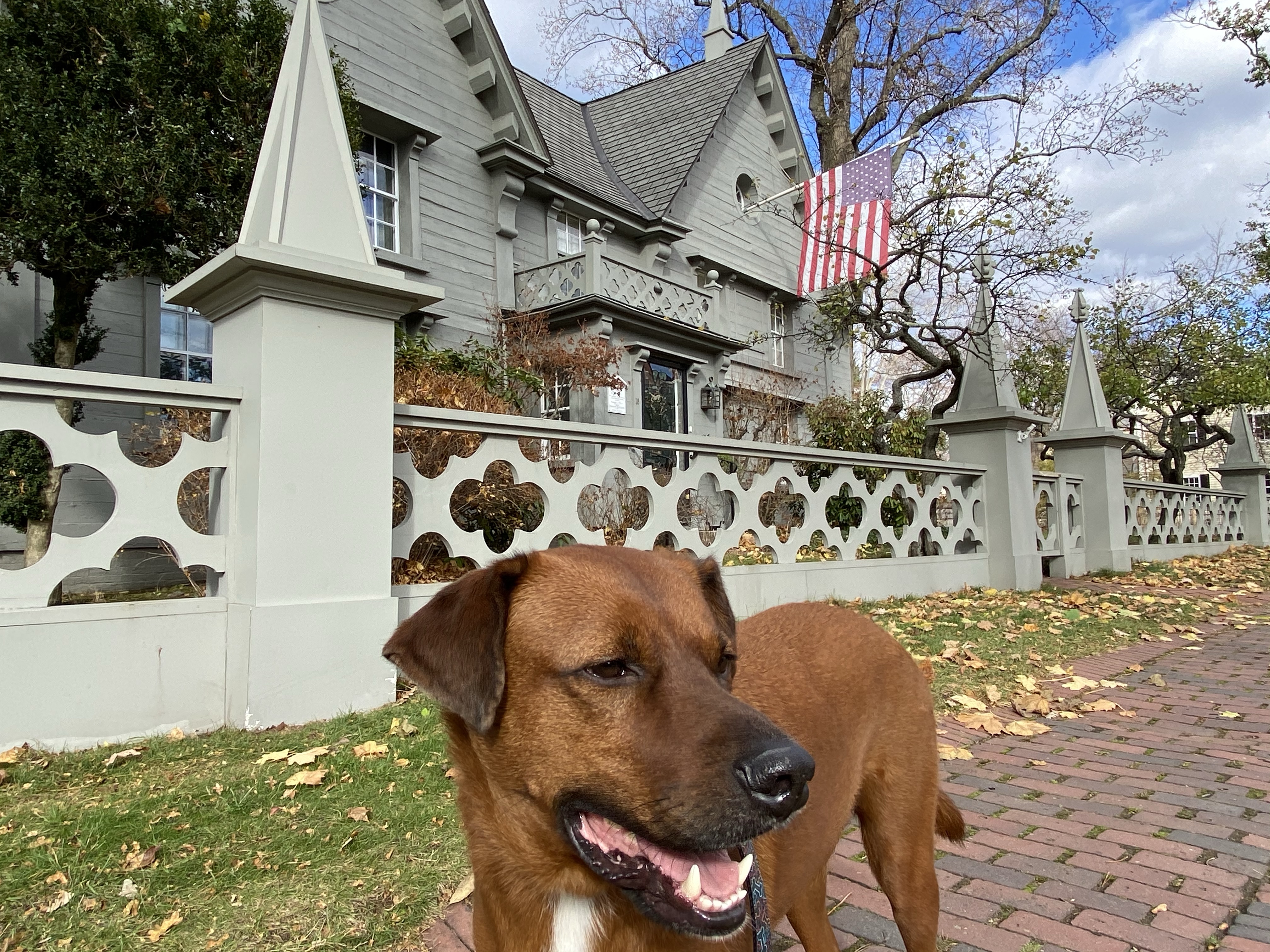 Pickering House – Walkies Through History