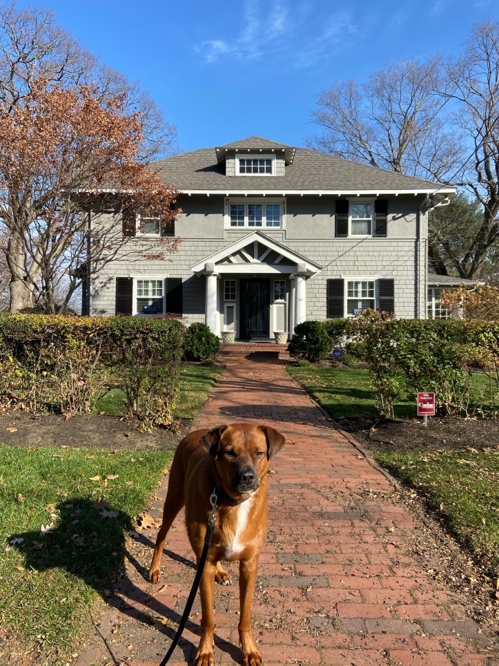 Roberts House – Walkies Through History