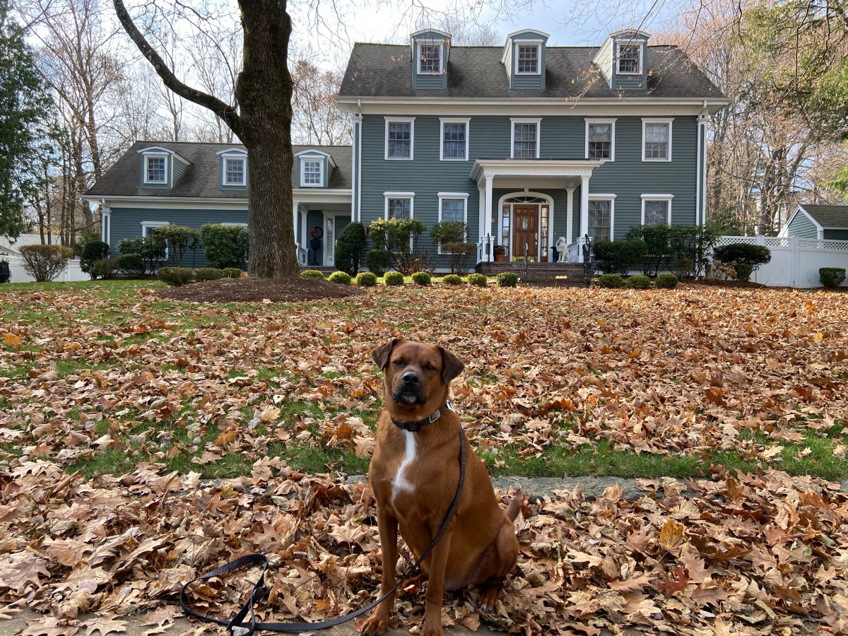 Mark Temple House – Walkies Through History