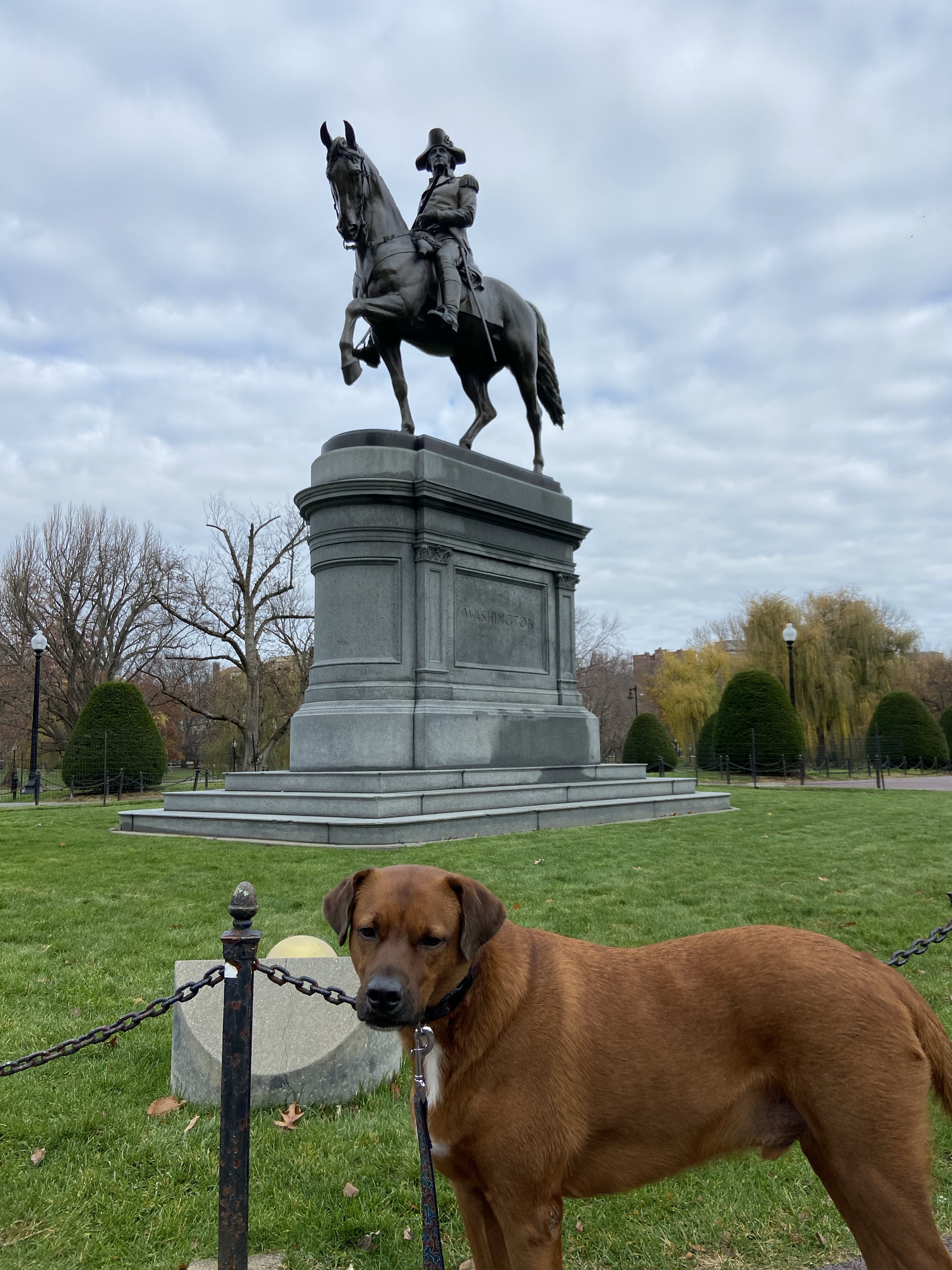 George Washington Statue – Walkies Through History