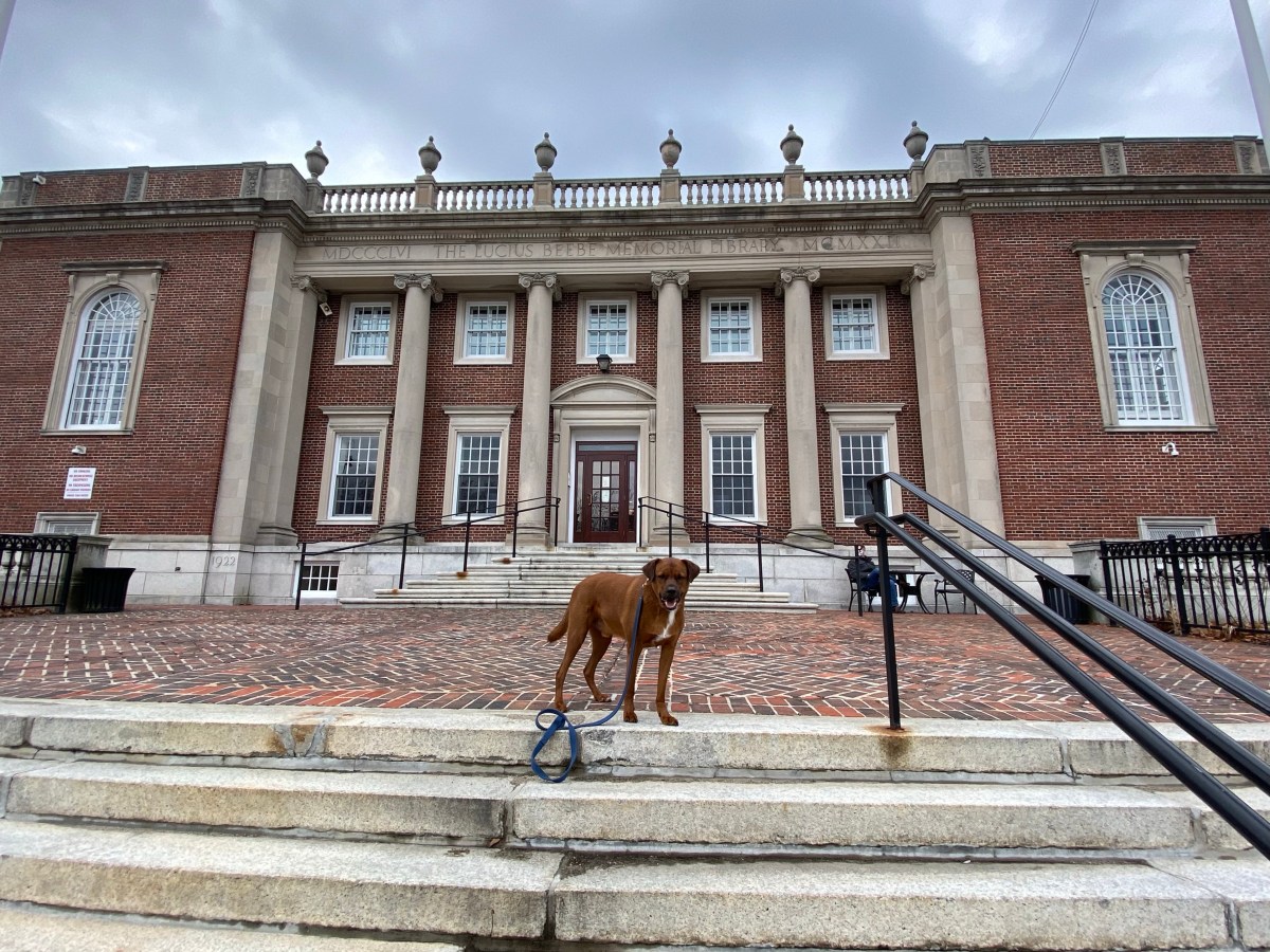 Lucius Beebe Memorial Library – Walkies Through History