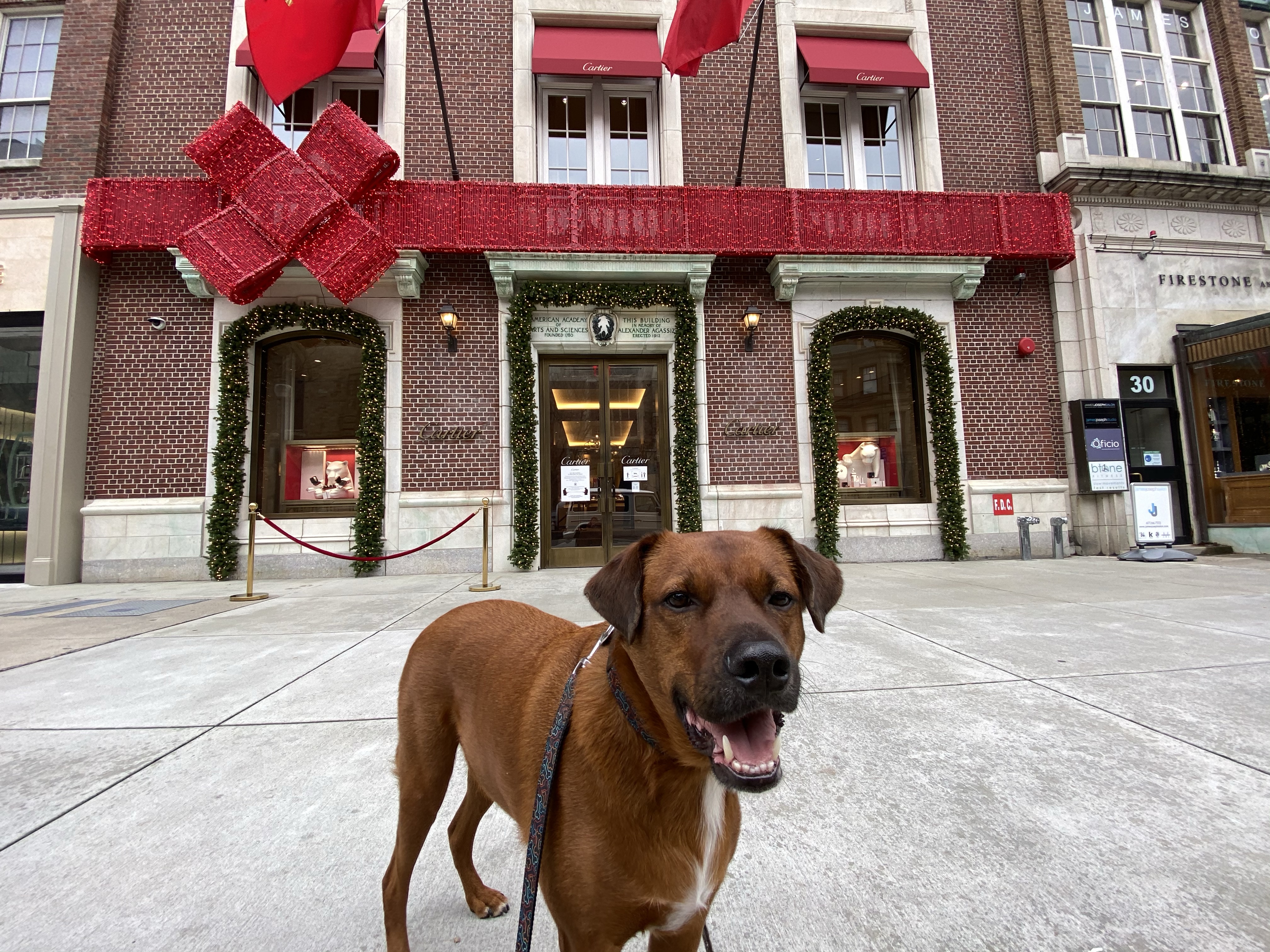 Cartier store – Walkies Through History