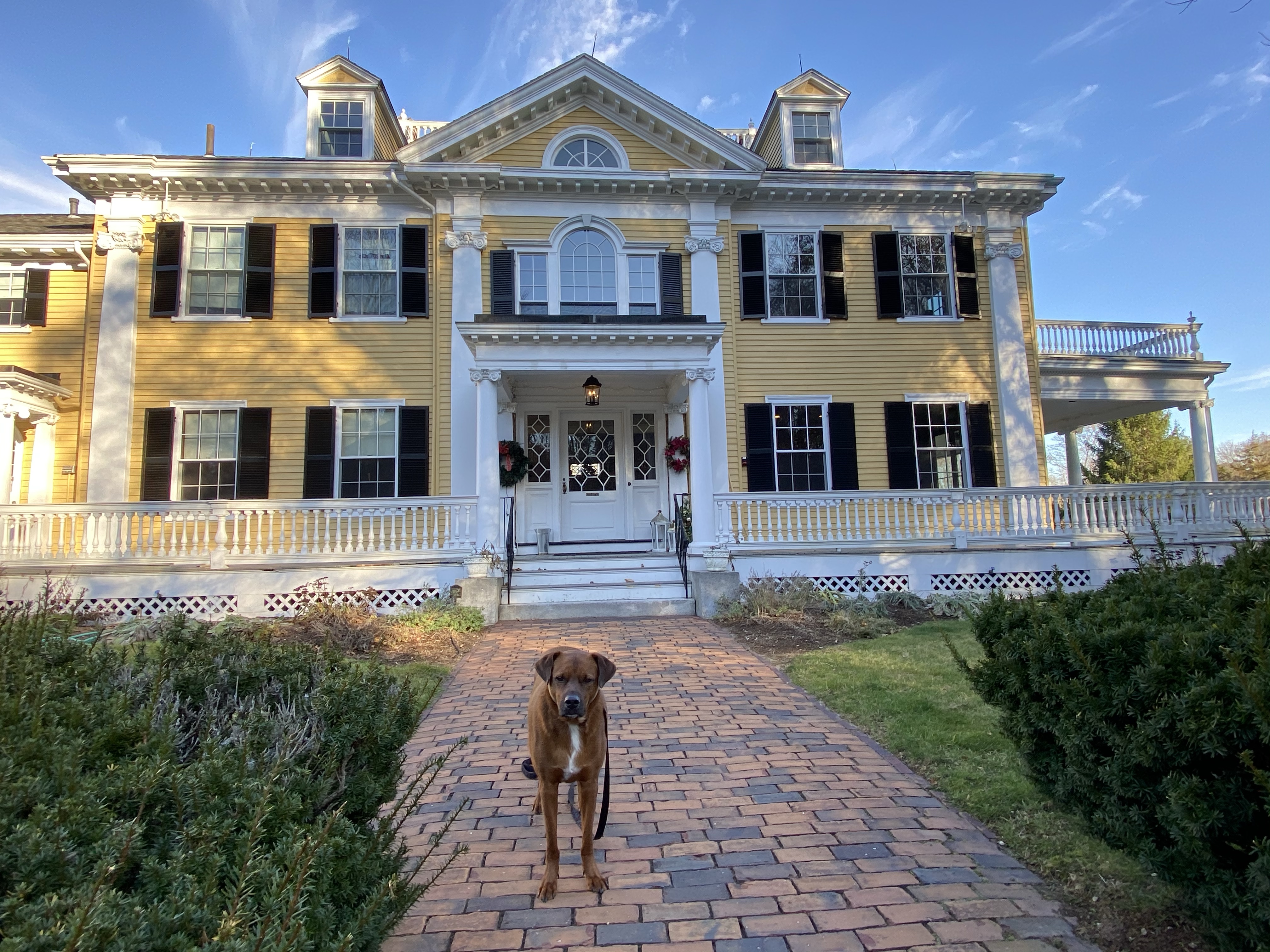 Pierce House – Walkies Through History