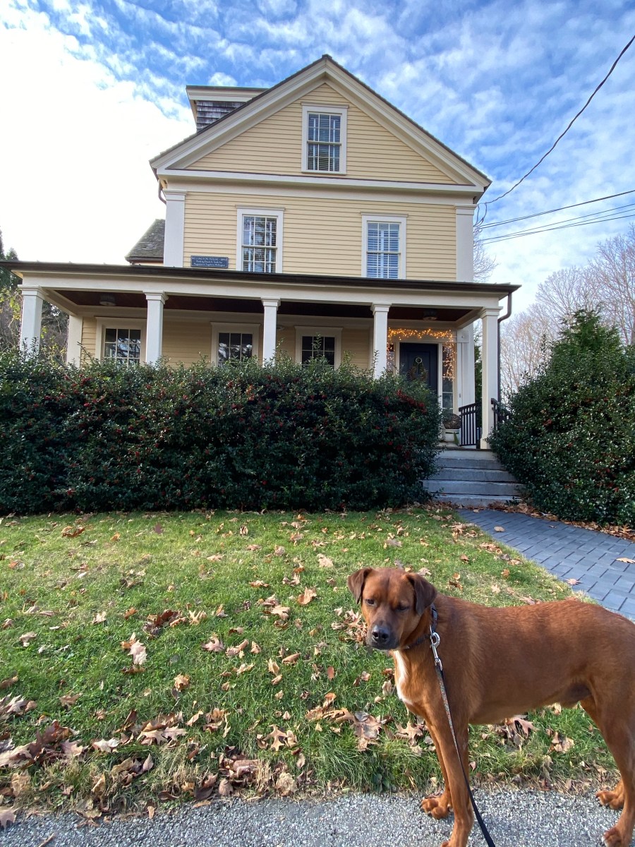 Wellington House – Walkies Through History