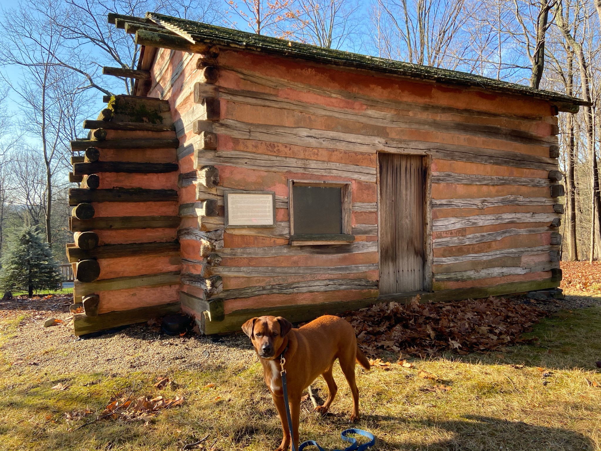 Abe Lincoln’s Log Cabin – Walkies Through History