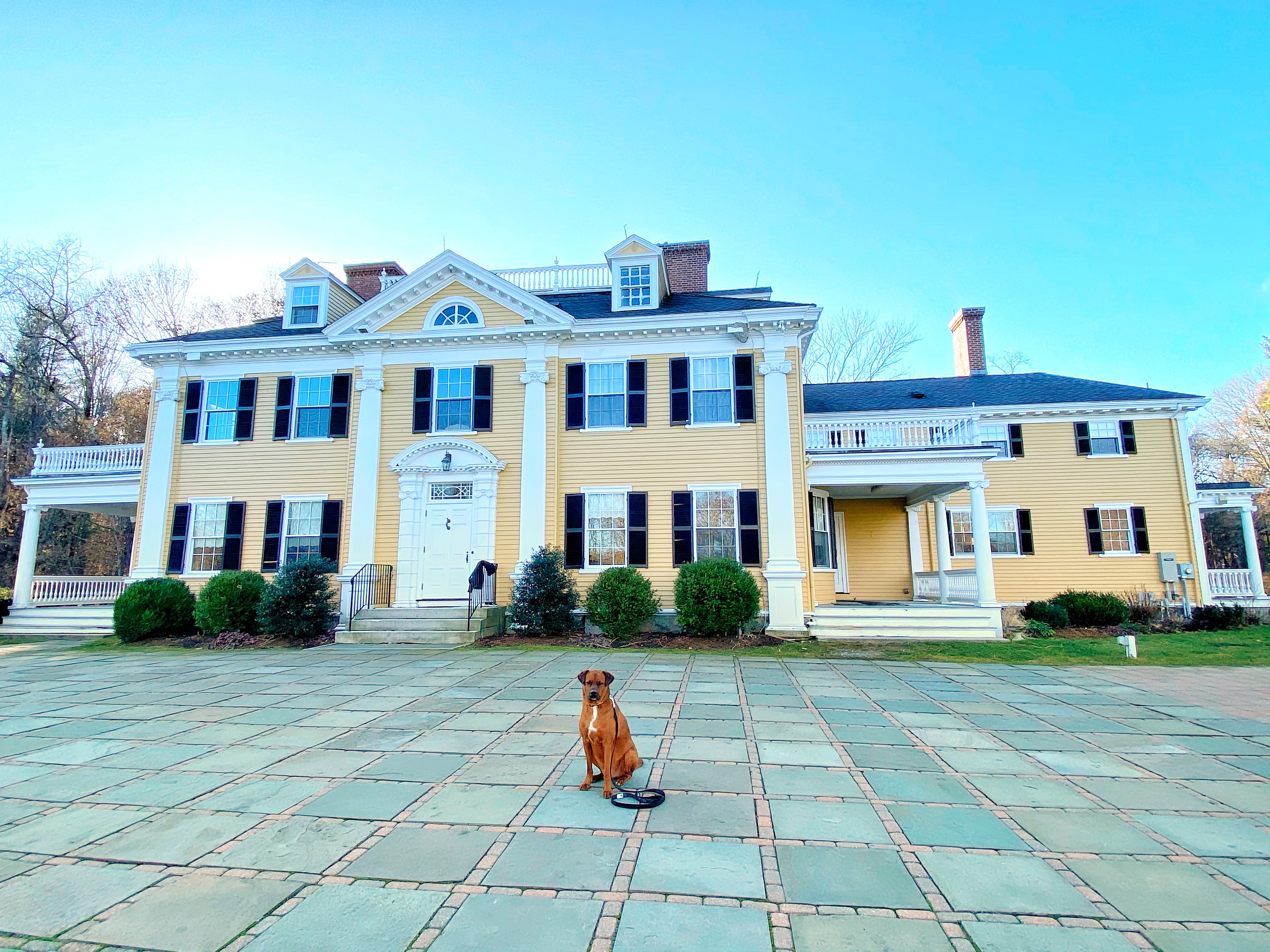 Pierce House – Walkies Through History