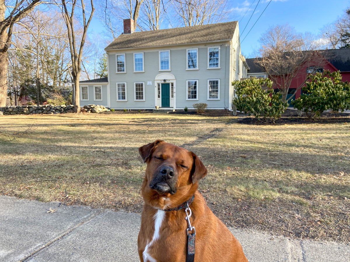 Samuel Law House – Walkies Through History
