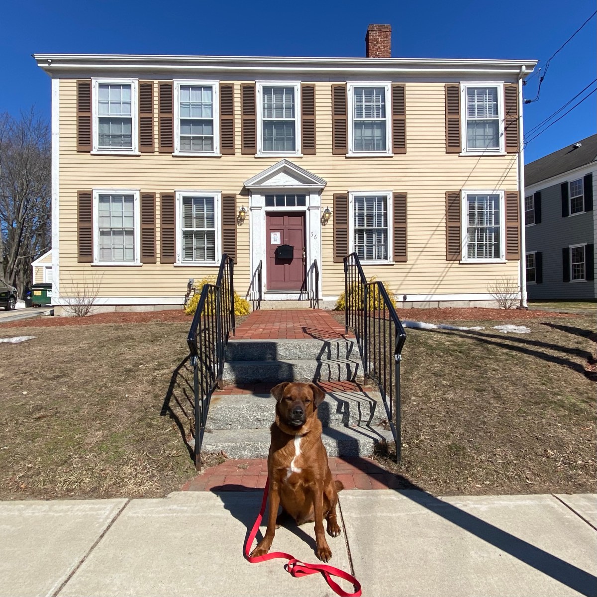 William Stearns House – Walkies Through History