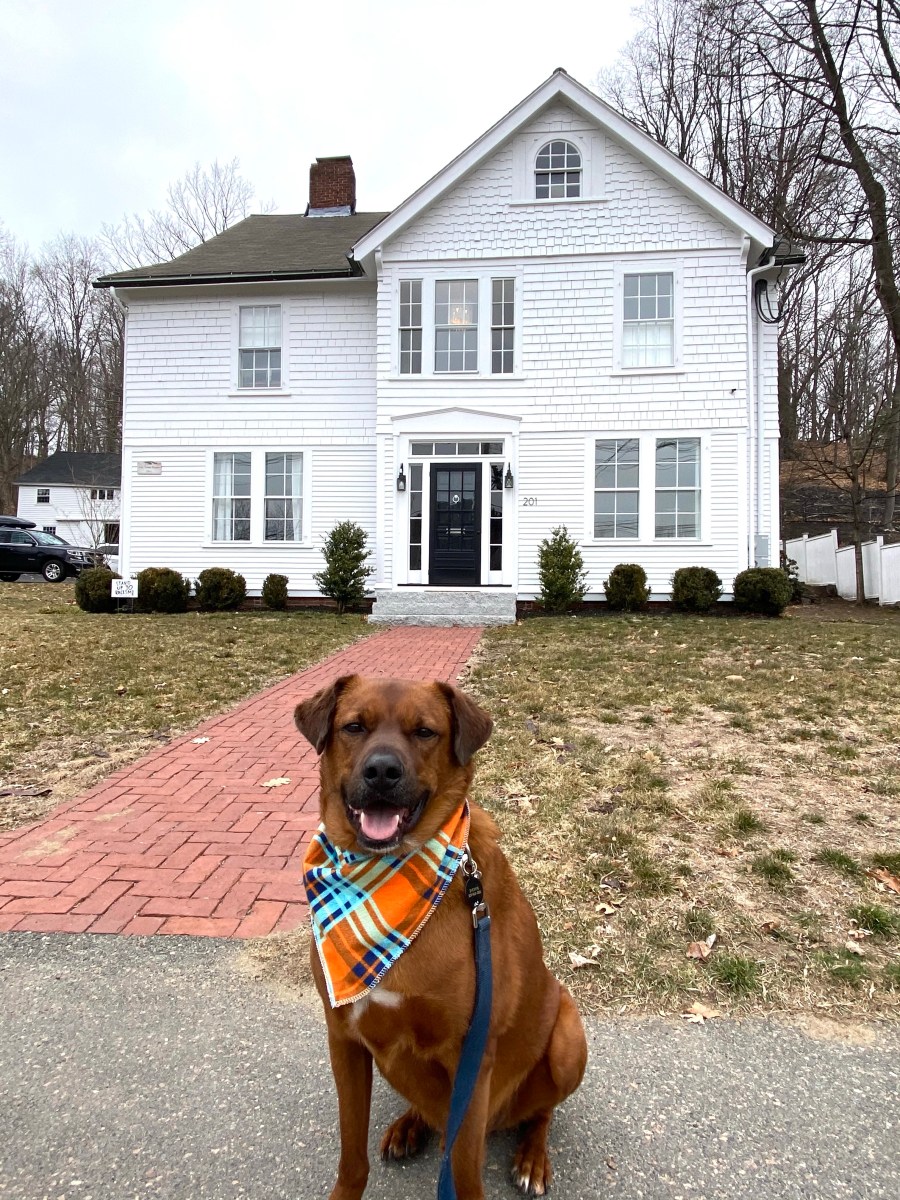 Wheeler House – Walkies Through History