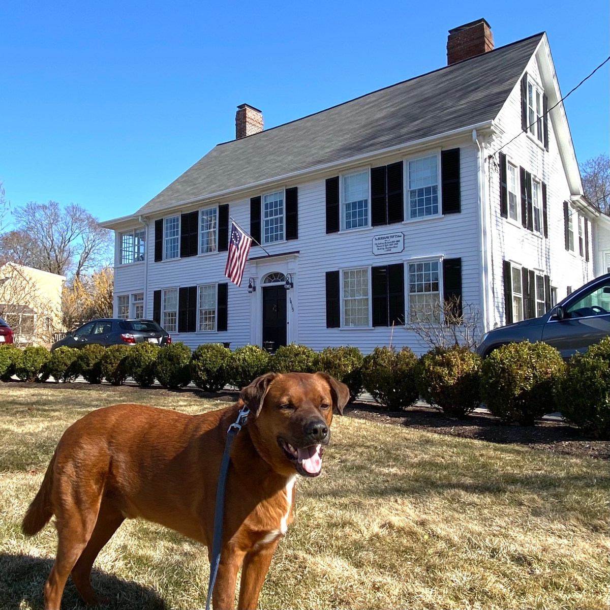 Burbank-Tufts House – Walkies Through History