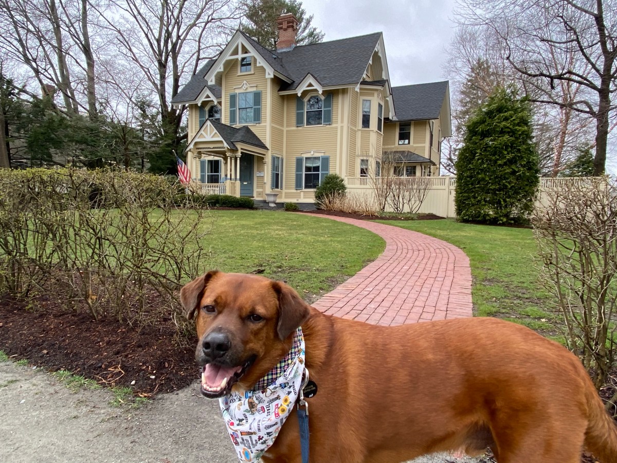 Henry J. Walcott House – Walkies Through History