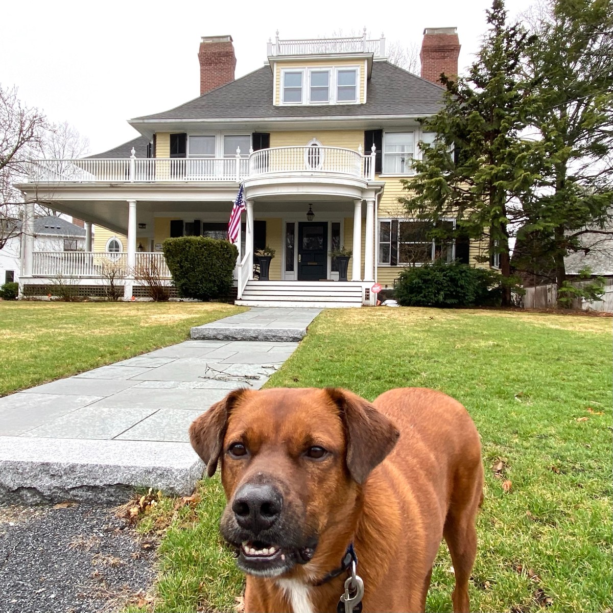 George Walcott House – Walkies Through History