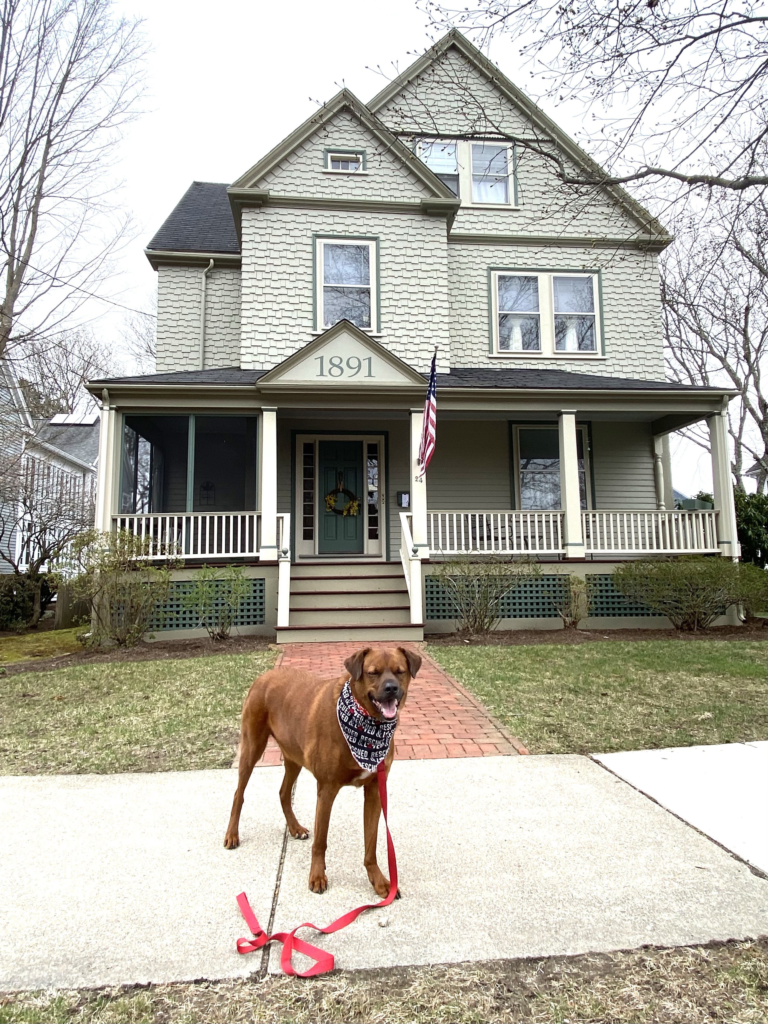 Redman House – Walkies Through History