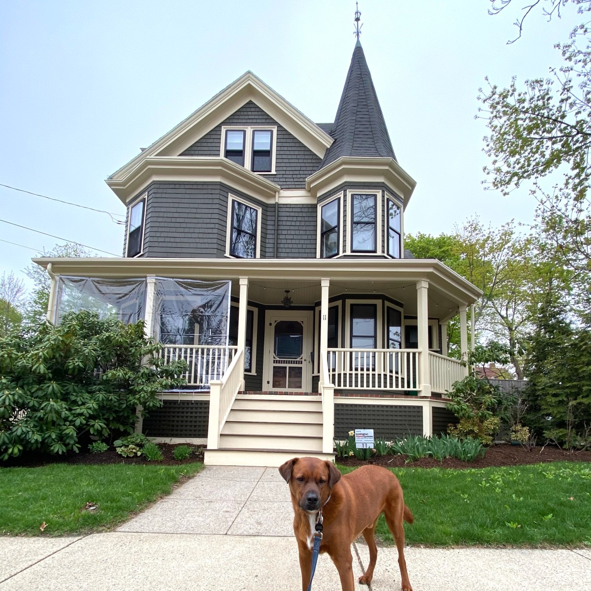 Herbert Reed House – Walkies Through History