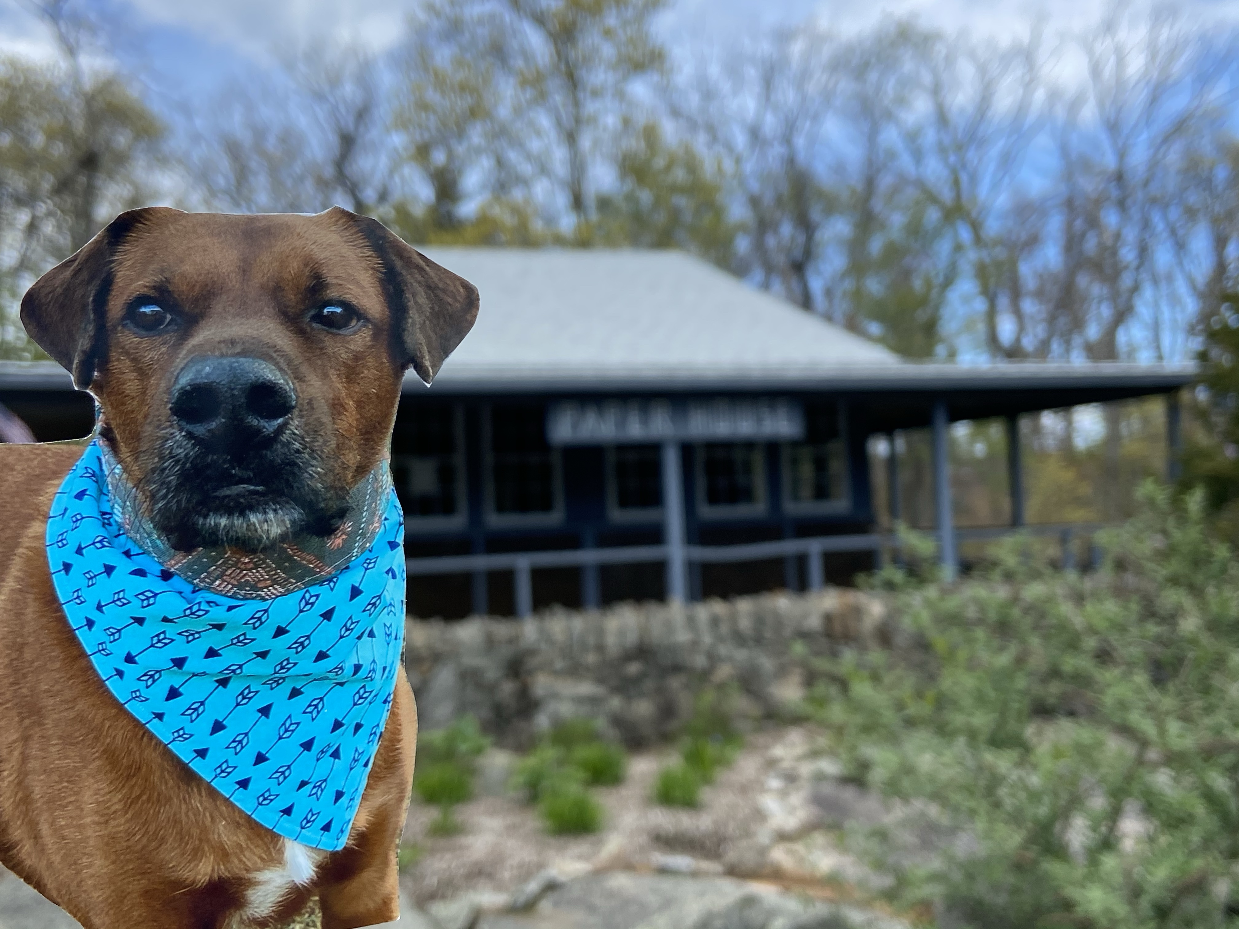 The Paper House – Walkies Through History