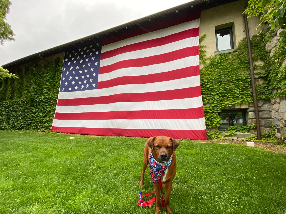 Cary Memorial Library – Walkies Through History