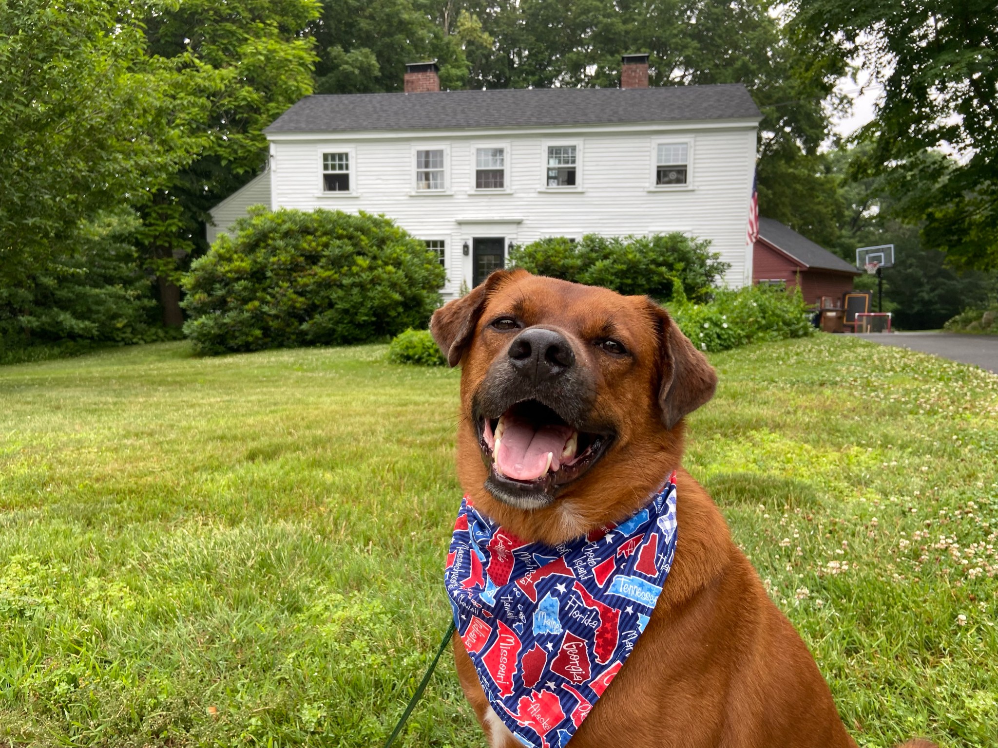 Stephen Weston House – Walkies Through History