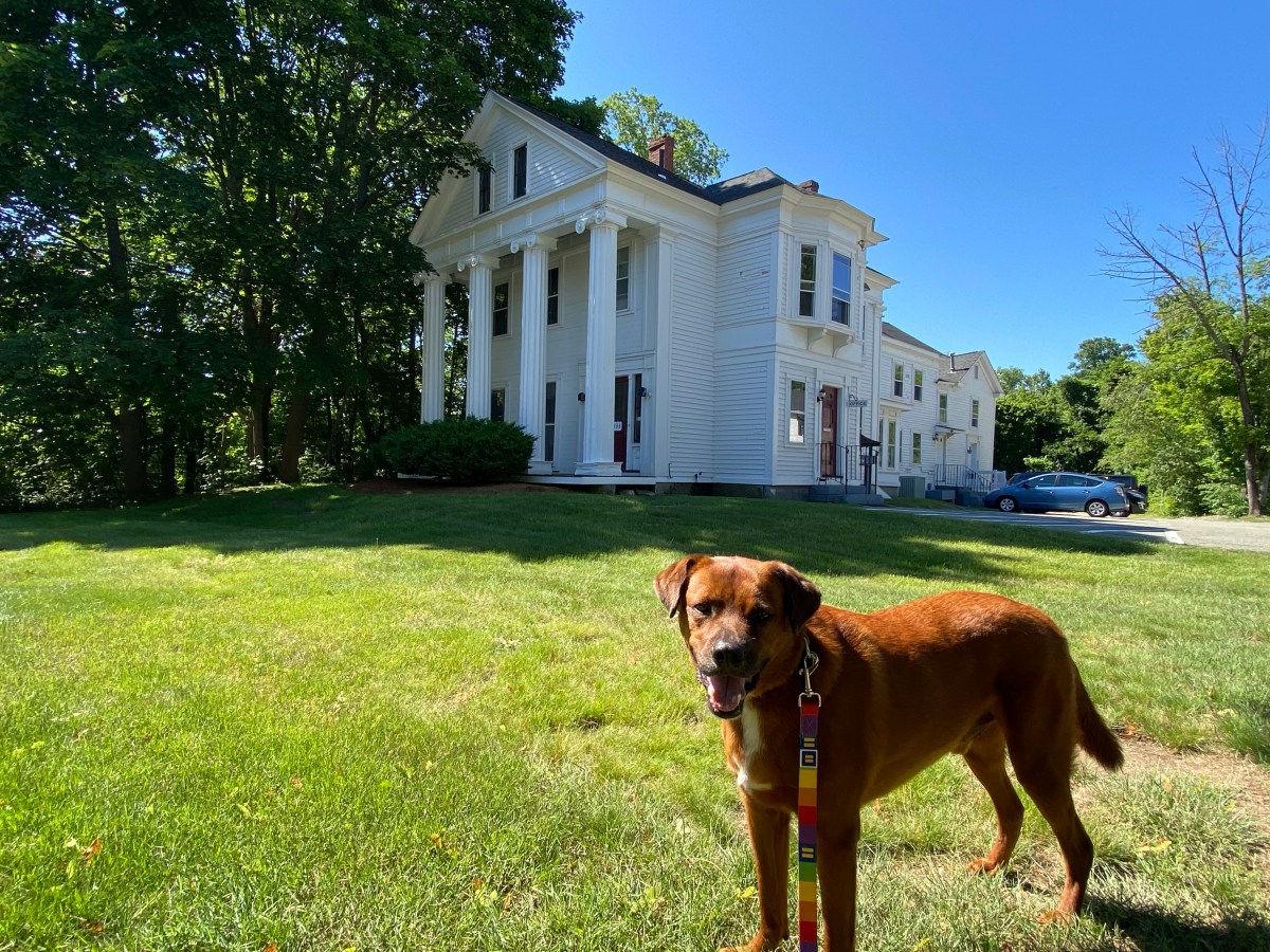 Jonathan Bacon House – Walkies Through History