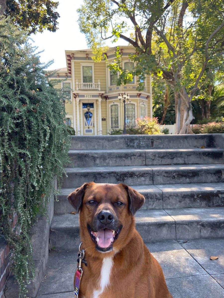 Edward Howe Sr. House – Walkies Through History