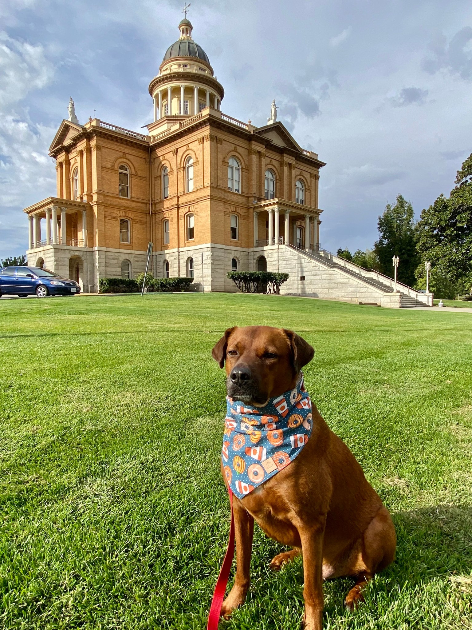 Auburn Courthouse – Walkies Through History