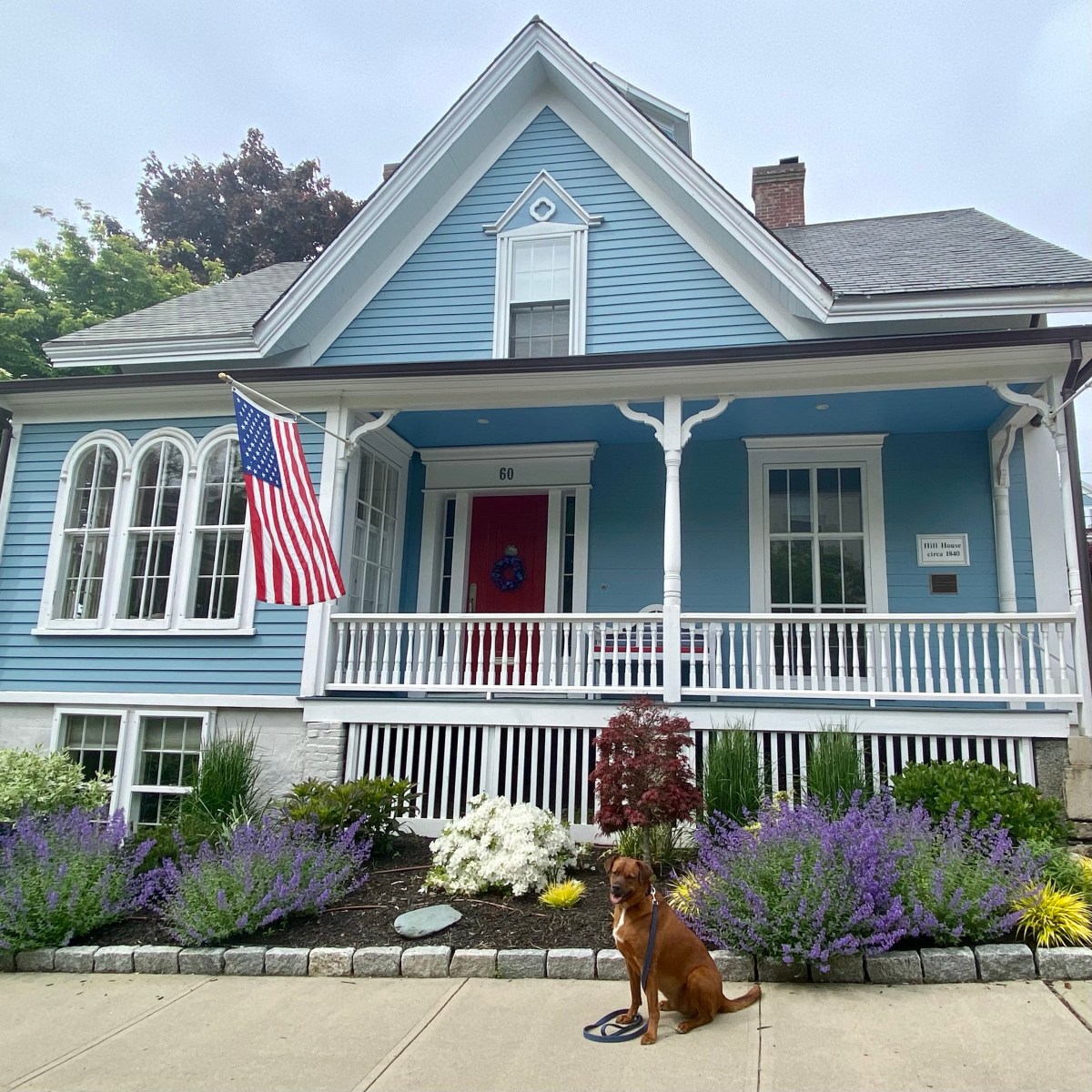 Hill House – Walkies Through History