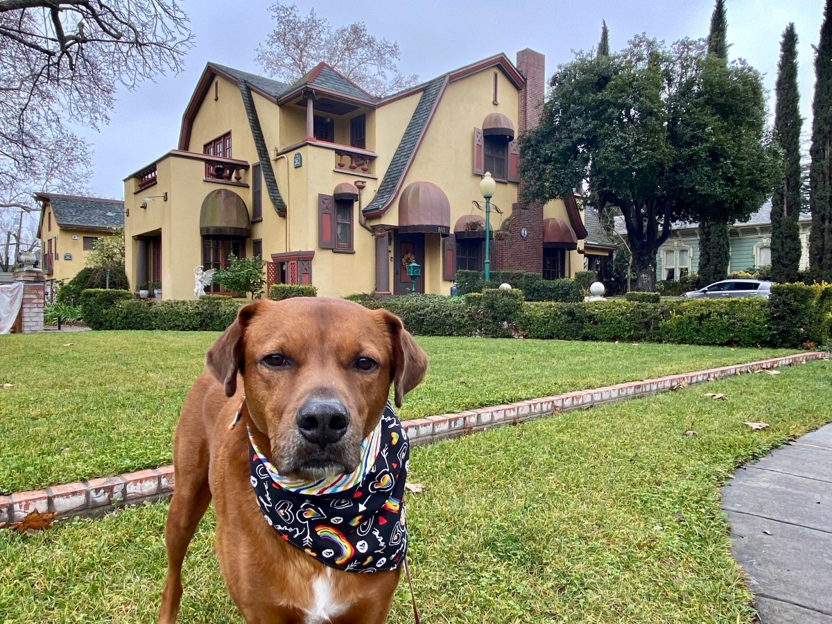 Thomas Laughlin House – Walkies Through History