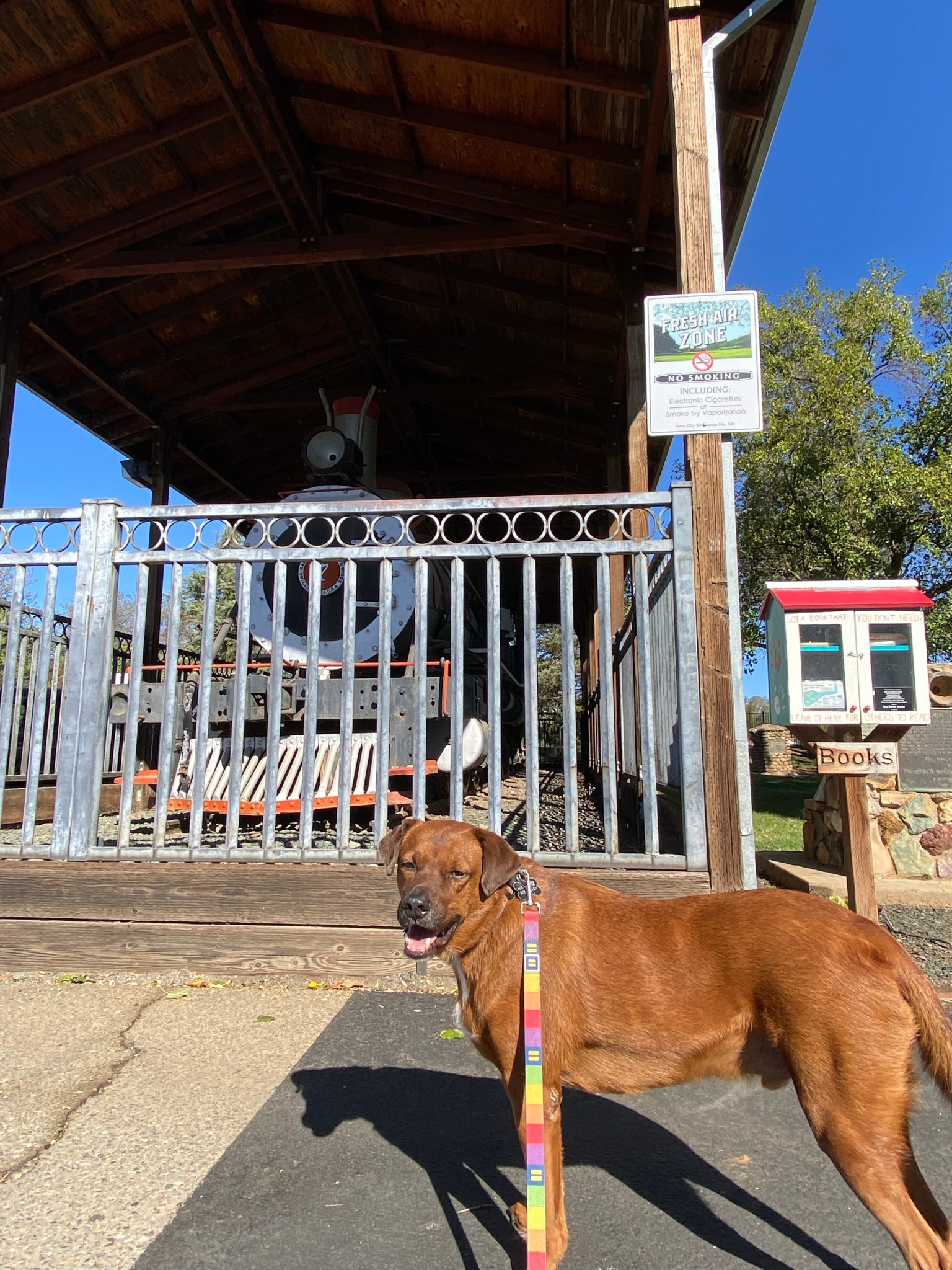 Iron Ivan – Walkies Through History