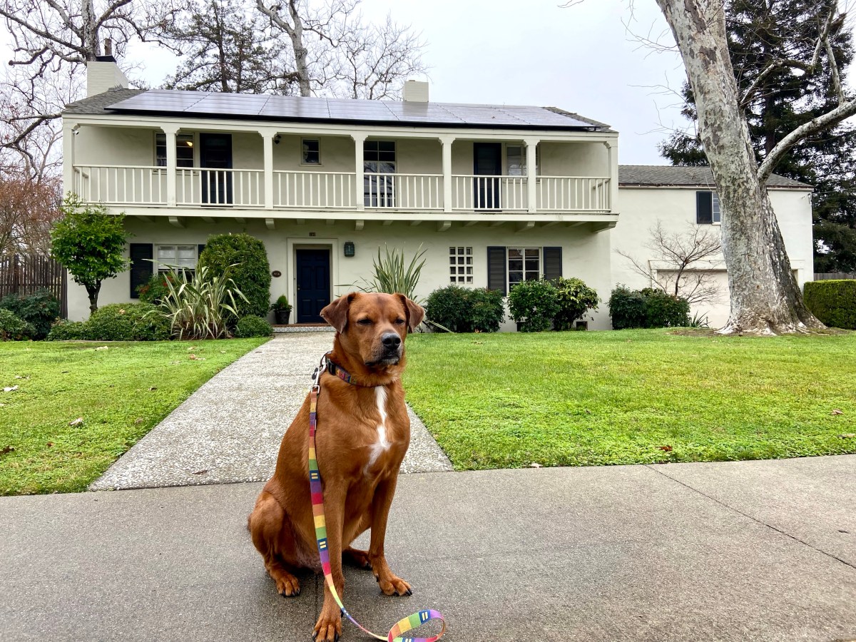 Dougherty House – Walkies Through History