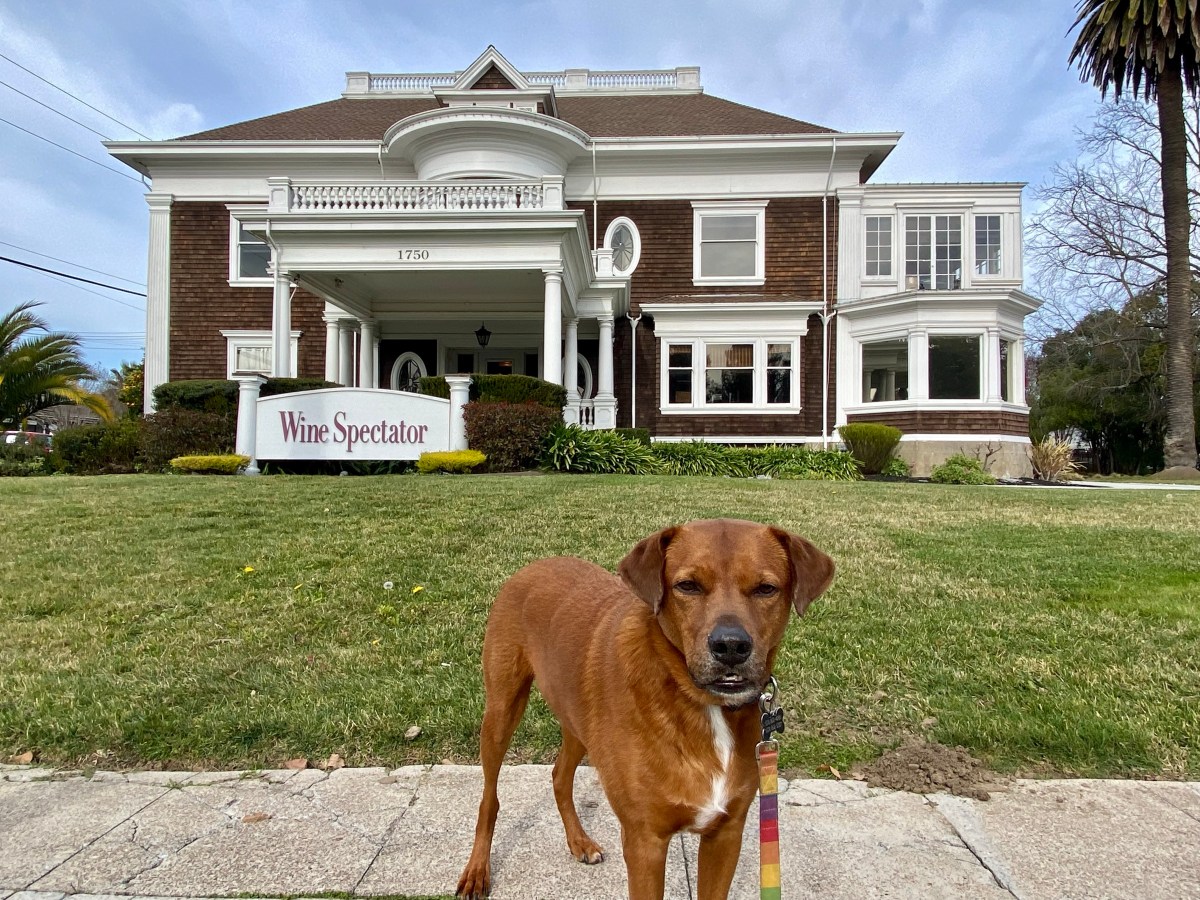 Frank Noyes Mansion – Walkies Through History