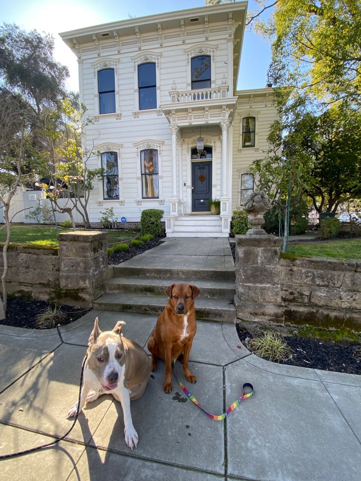 John and Eliza Stevens House – Walkies Through History