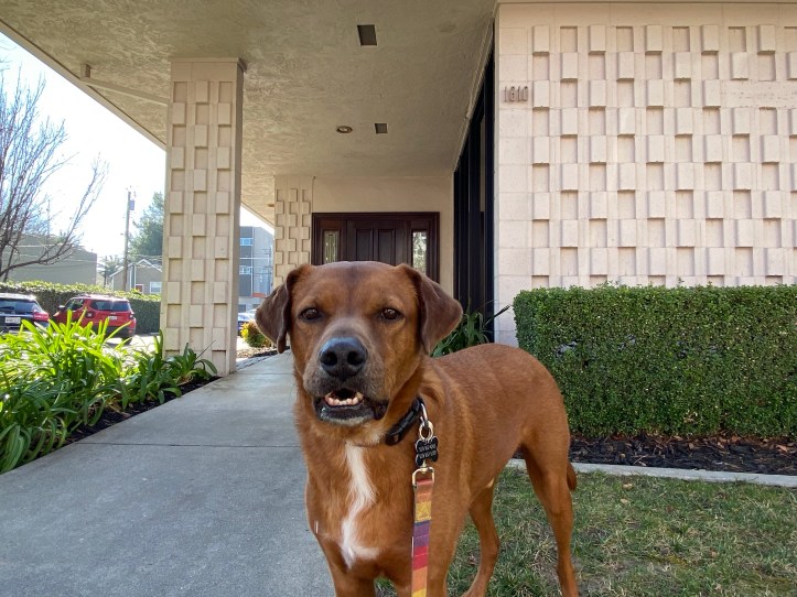 Nathaniel Colley Offices – Walkies Through History