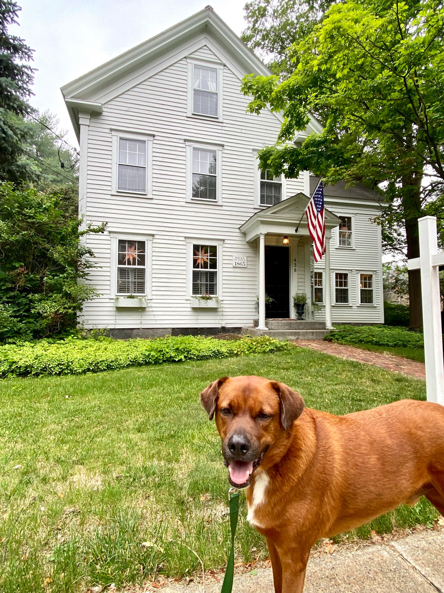 Horace Tuttle House – Walkies Through History