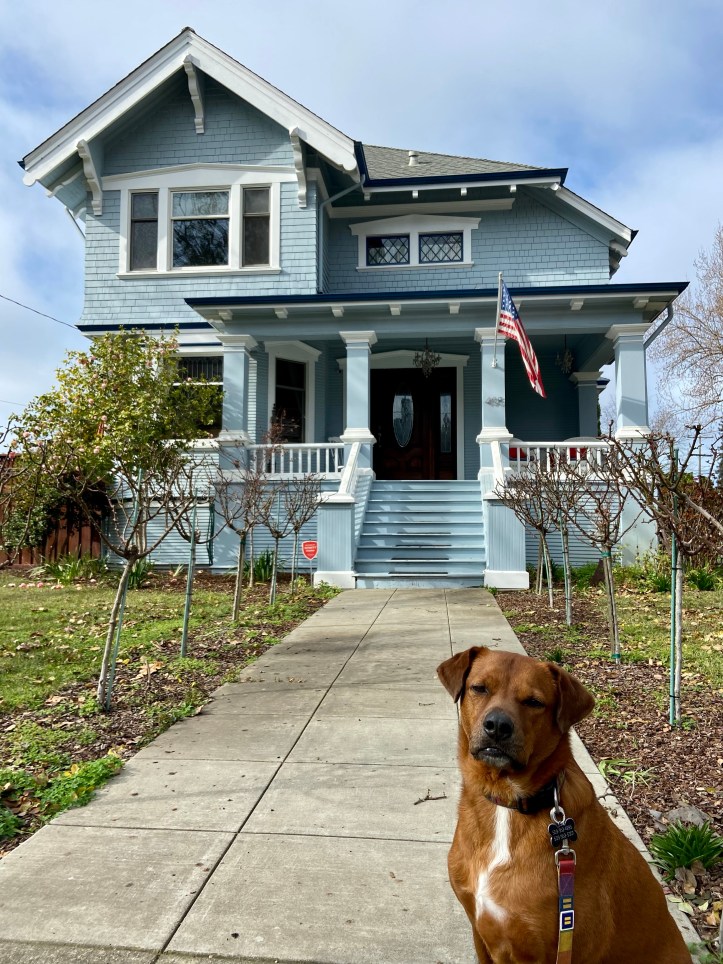 Edward G. Manasse House – Walkies Through History