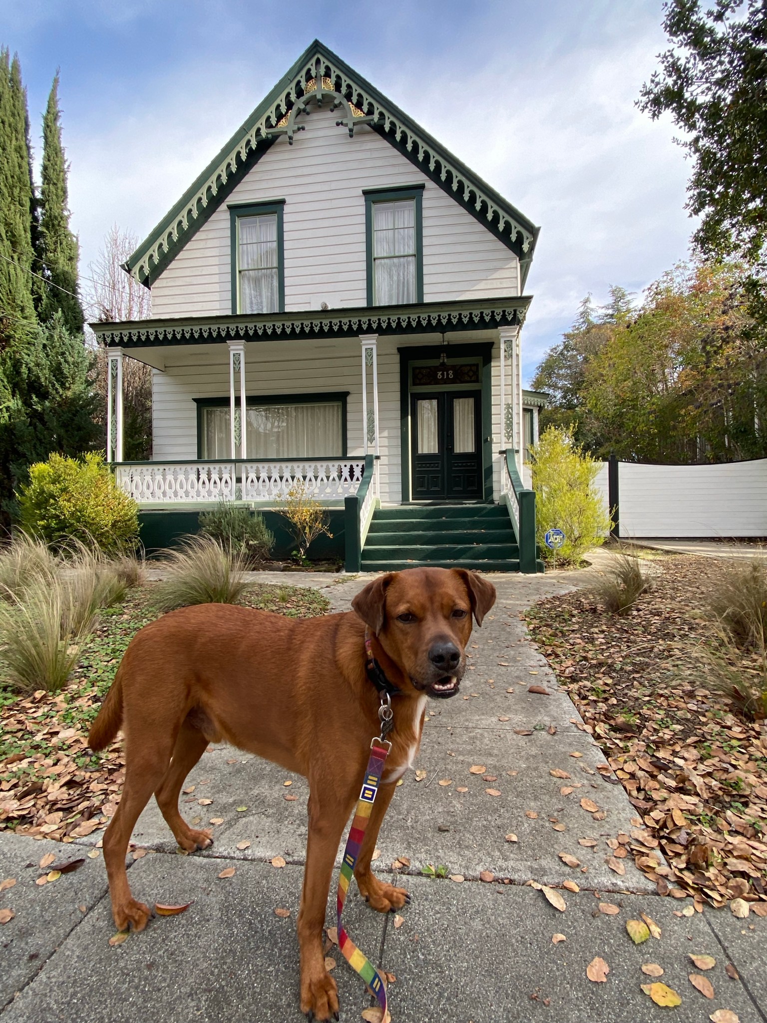 Vanderschoot House – Walkies Through History