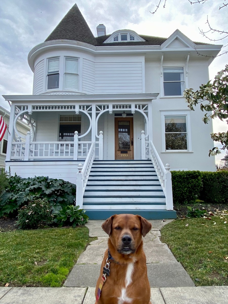 Ingalls House – Walkies Through History